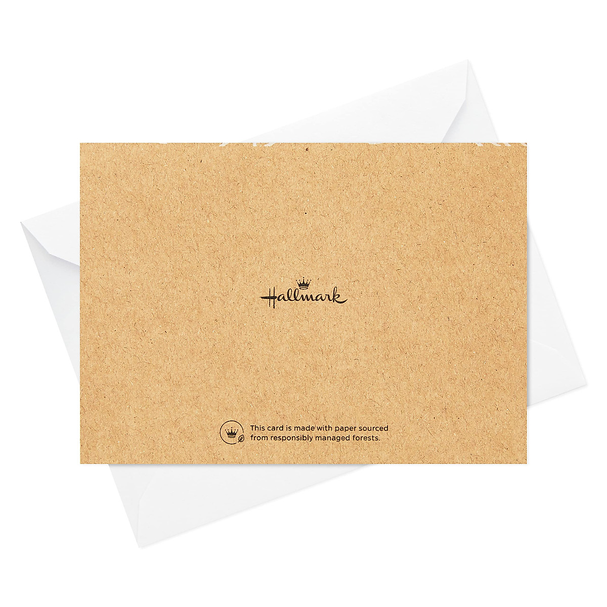 Hallmark Thank You Cards Assortment, Rustic Kraft (48 Thank You Notes with Envelopes), Grey (5STZ1160)