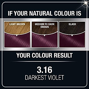 Garnier Olia Oil Powered Permanent Haircolor, 3.16 Darkest Violet (Packaging May Vary)