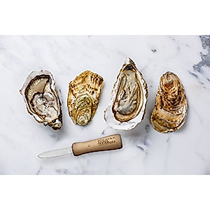 Dexter-Russell 2.75-inch Oyster Knife, New Haven pattern, Metallic