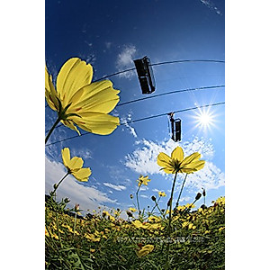 Canon DSLR Camera EOS Kiss X7i with EF-S18-135mm IS STM - International Version (No Warranty)