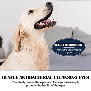 BTAKANPP Dog and Cat Eye Wash Eye Drops for Dogs and Cats to Flush and Soothe Eye Irritations, Dog Tear Stain Cleaner, Safe for All Animals (1PCS)