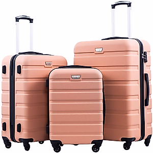 COOLIFE Luggage 3 Piece Set Suitcase Spinner Hardshell Lightweight TSA Lock 3 Piece Set (sakura pink)