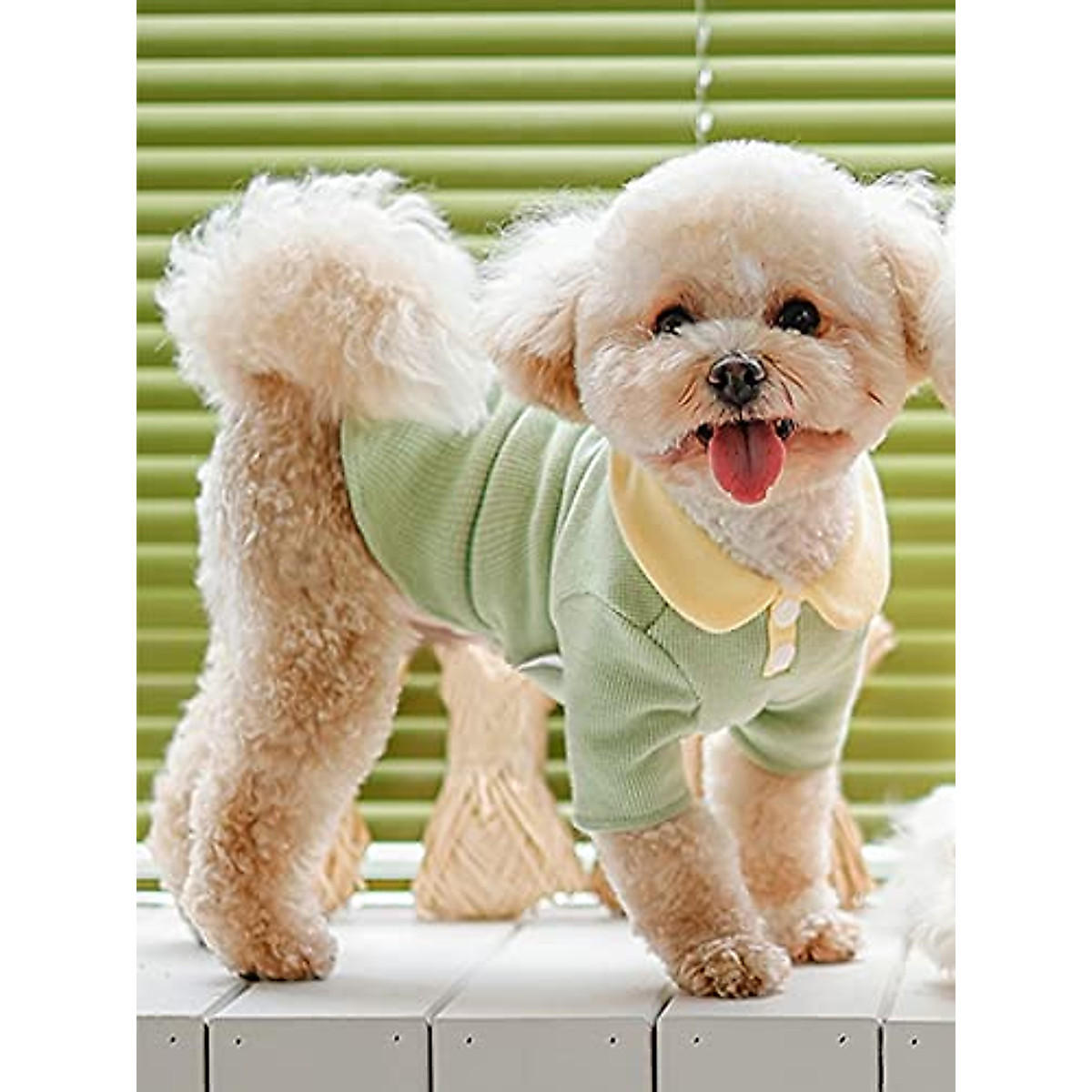 Milumia Pet T Shirt for Small Medium Dogs Puppy Outfits Bow Color Block Cat Clothes Green Medium