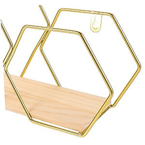 Garneck Modern Style Wall Holder Wall Mounted Floating Shelf Golden Iron Wood Living Room Storage Rack Shelves for Wall Decor