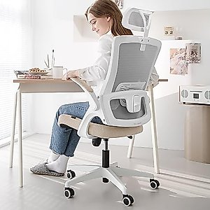 NEO CHAIR Office High Back Mesh Headrest Adjustable Height and Ergonomic Design Home Office Computer Desk Executive Lumbar Support Padded Flip-up Armrest Swivel (Beige)