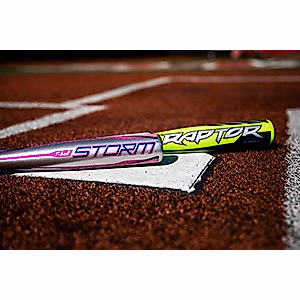Rawlings | STORM T-Ball Bat | USA Softball & Baseball | -12 Drop | 24" | Silver/Pink