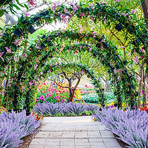 WILLBOND 12 Pieces Artificial Lavender Plants Lifelike Faux Silk Flowers for Weddings Home Garden Decoration Indoor Outdoor DIY Floral Arrangements