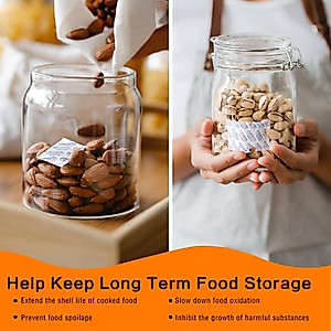 Medlladle 500cc Food Grade Oxygen Absorbers 100 Count 10 Pack Individually Sealed for Long Term Food Storage & Survival for Canning, Vacuum Bags,Mason Jars, Harvest Right Freeze Dryer, Dehydrated