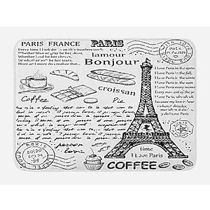 Nichpedr Paris Traditional Famous Parisian Elements Bonjour Croissan Coffee Eiffel Tower Entrance Way Rugs Doormats Soft Non-Slip Washable Bath Rugs Floor Mats for Home Bathroom Kitchen 16x24 Inch