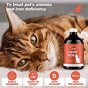 Iron Supplements for Cats-Liquid Iron Supplement for Anemia Cat-Polysaccharide Iron Complex Supports for Anemia in Cats Blood Health and Addresses Nutritional Deficiencies-Cat Care Essentials