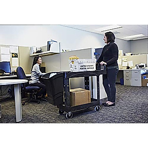 Rubbermaid Commercial Products 2-Shelf Utility/Service Cart, Small, Lipped Shelves, Ergonomic Handle, 500 lbs. Capacity, for Warehouse/Garage/Cleaning/Manufacturing (FG450088BLA)