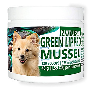 Equa Holistics Green Lipped Mussel Powder for Dogs, All-Natural Hip & Joint Support Dietary Supplement Formula for Dogs (120 Servings)