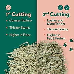 Andy 2nd Cut Timothy Hay Andy-Pak Feeder Boxes, 4 Pack of 1.5 Lb Boxes, Premium Rabbit Food Hay for Rabbits, Chinchillas, and Guinea Pigs