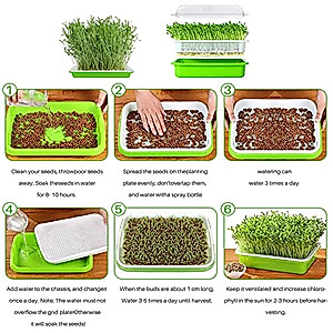 Seed Sprouter Trays 3 Packs , Microgreens Growing Trays Nursery Tray Bean Sprouts Sprouting Container Kit with Lid Wheatgrass Cat Grass Seedling Planting Storaging Trays for Garden Home Office