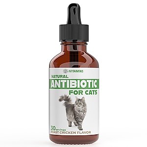 Natural Antibiotics for Cats | Cat Supplements | Cat Antibiotic | Cat Antibiotics | Cat Immune Support | Antibiotic for Cats | Cat Multivitamin | Multivitamin for Cats | 2 Pack: 60 Servings Total