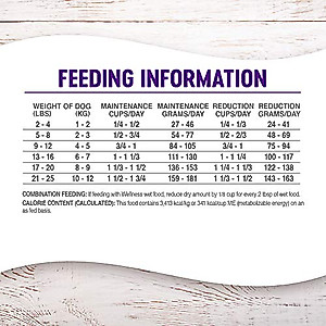 Wellness Complete Health Small Breed Dry Dog Food With Grains, Made In USA with Real Turkey and Natural Ingredients, For Dogs Up To 25 lbs, Healthy Weight, 12 Pound Bag