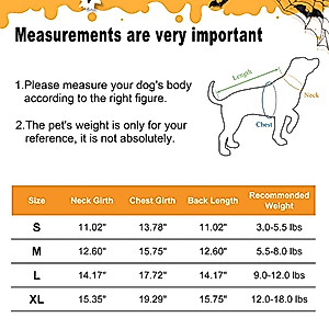 Filhome Pet Bee Dog Costume, Halloween Dog Hoodies Outfits Cute Cat Hooded Coat Warm Apparel Fall Winter Christmas Cosplay Clothes for Small Medium Pet(M/Multicolor)