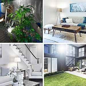 Bonlux R7S LED Light Bulb 118mm, 25W J118 Double Ended LED Bulbs 120V J Type R7S LED Floodlight 200W Halogen Bulb Replacement Daylight 6000K for Floor Lamp, Security Light (2-Pack)