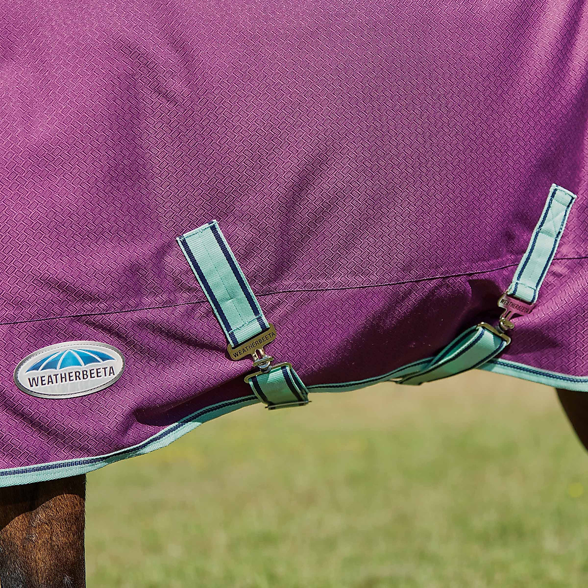 WeatherBeeta ComFiTec Premier Freedom Pony Standard Neck Lite Horse Blanket, Purple/Navy/Mint, 69"