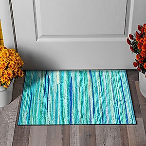 KEMA Cotton Chindi Rag Rug, Boho Farmhouse Rustic Area Accent Throw Rug, Handwoven Reversible Natural Yarn,Living Room Den Study Home Décor Gift, 20x32 Inch