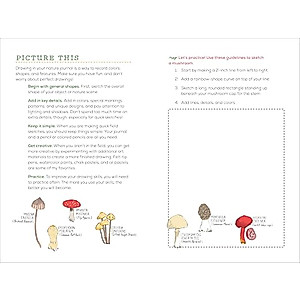 Exploring Nature Journal for Kids: Observe and Record the Outdoors (Exploring for Kids Activity Books and Journals)