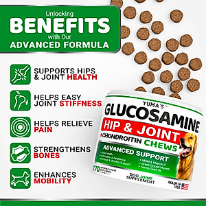 Glucosamine for Dogs - Hip and Joint Supplement for Dogs - 170 Ct - Glucosamine Chondroitin for Dogs Chews - Dog Joint Pain Relief with MSM - Advanced Dog Joint Supplement Health - Mobility Support