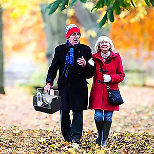 iplusmile Metal Bird Carrier Travel Cage Portable Bird Cage Travel Parrot Cage Parrot Cage Outing Bird Carrying Cage for Bird Cockatiel Conure Parakeet, Black 21x12x14cm