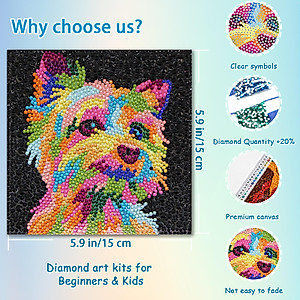 Sloikey Diamond Art Kits for Kids Suit for Kids Ages 6-8-9-12 and Beginners,Diamond Art Gem by Number Kits Arts and Crafts Kits (4PCS) (S-cat-four)