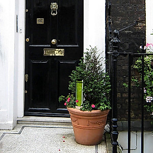 Slow Seep White Terracotta Vacation Plant Waterer 8 Pack Self Watering Stakes for Outdoor and Home Plants