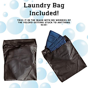 Generic Extra Large Pet Recovery Collars Extra Large Blue