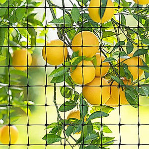 Gardzen 6.8ft x 30ft Anti Bird Netting, Pond Net with 20pcs Cable Ties - Protect Your Garden Vegetables Fruit Plants Ponds