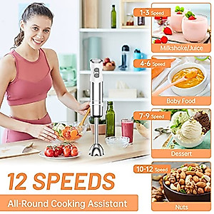 Immersion Blender, 5 in 1 Hand Blender, 12 Speed and Turbo Mode Immersion Blender handheld, Blender Electric Stainless Steel with Milk Frother, 600ml Beaker, 500ml Chopper, Egg Whisk