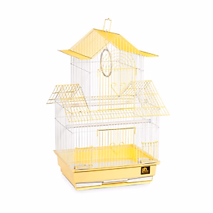 Prevue Hendryx SP1720-1 Shanghai Parakeet Cage, Yellow and White