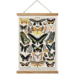 Ovfovy Vintage Butterfly Poster with Wooden Frame - Retro Style of Cottagecore Aesthetic Wall Art Painting - Illustrative Reference Chart Poster for Living Room Office, Classroom Decor 16 x 23 inches