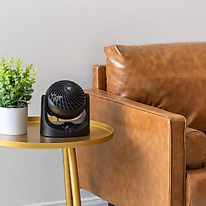 IRIS USA WOOZOO Fan, Small Desk Fan, 3 Speeds, 32ft Max Air Distance, Mini Fan 7 Inches, 112° Adjustable Tilt, 27.5 db Low Noise, Tabletop Air Circulator for Bedroom Dorm Office, Black