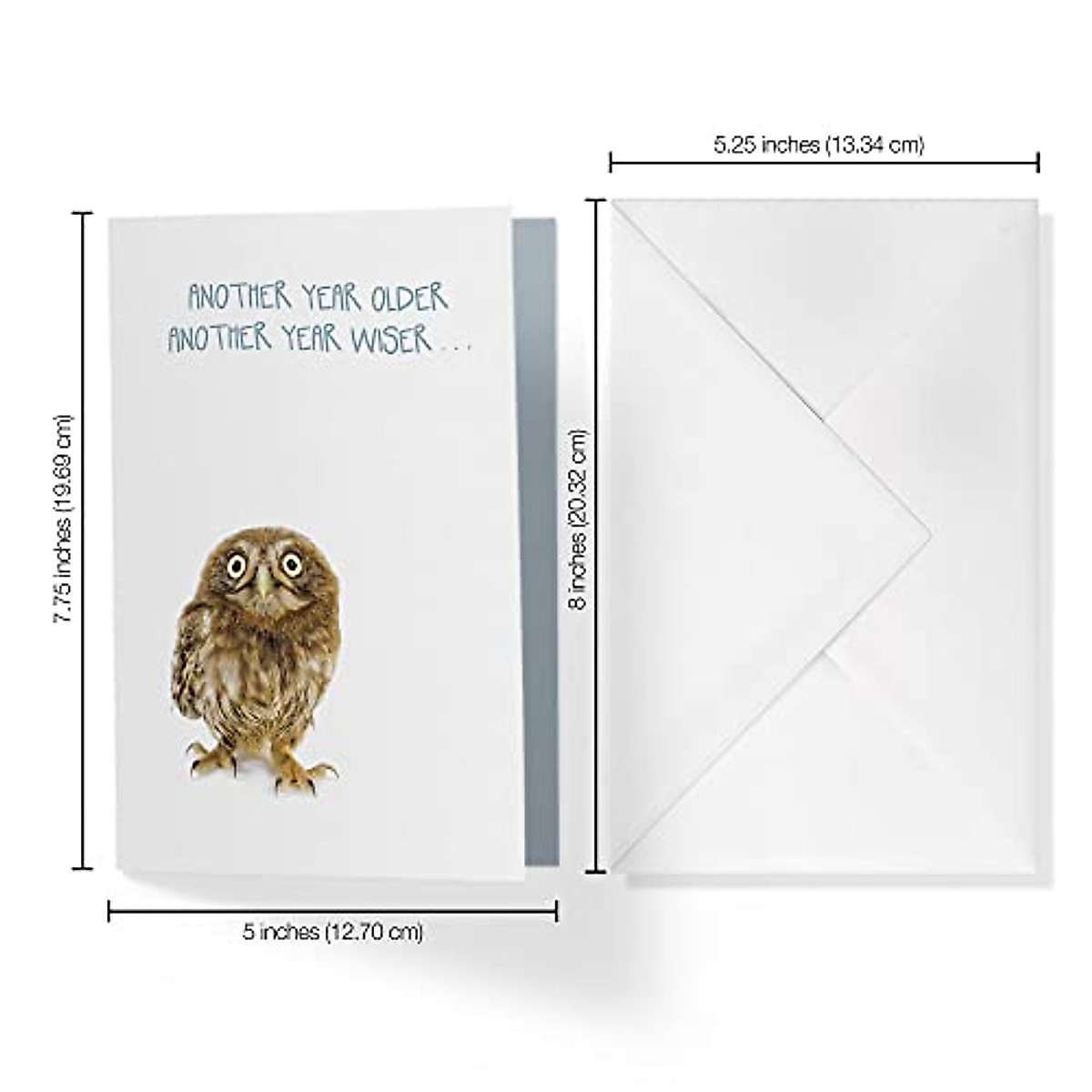 1Up Greetings Funny Birthday Card About Getting Older - You’re A Hoot Owl Single Card with Envelope | 5”x7.5” | Funny Birthday Card for Men or Funny Birthday Card For Older Man