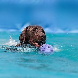 3-in-1 Dog Toy, Floating Dog Toy,Dog Water Toy for Pool & Beach, Dog Chew Teeth Cleaning Toy for Aggressive Chewers,Natural Jellyfish Leaky Food Toy for Large Medium Small Dog (2 Pack)