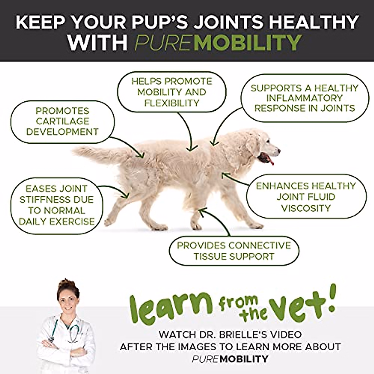 Pet Honesty PureMobility Glucosamine for Dogs - Premium Dog Joint Supplement Support with Glucosamine, Green-Lipped Mussel, Collagen & Turmeric - Advanced Hip & Joint Chews & Pet Joint Support - 60ct