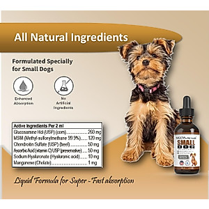 NODENS Small Dog Hip and Joint Liquid Glucosamine for Dogs with Chondroitin – Small Dog Joint Supplement for Natural Dog Pain Relief Anti-inflammatory for Improved Joint Flexibility and Mobility 59ml