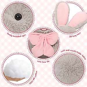 Lanmore Giant Bunny Stuffed Animal Easter Rabbit Toy Plush, Soft Animal Pillow for Boy Girl Girlfriend, for Easter Christmas Valentine's Day, Gray, 31.5 inches