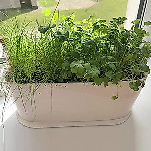 Torfican 5 Set Window Herb Planter Box Rectangular,8.5x3.5 Inch White Plastic Planters with Multiple Drainage Holes and Trays,Indoor Succulent Cactus Mint Flower Pot for Windowsill,Garden Balcony