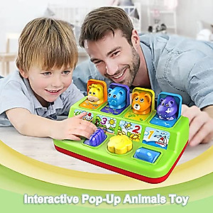 Duchong Interactive Pop Up Animals Toy for Toddlers, STEM Early Developmental Cause and Effect Toys for Ages 9-12-18 Months Toddlers & 1 Year Old Kids, Babies, Boys & Girls