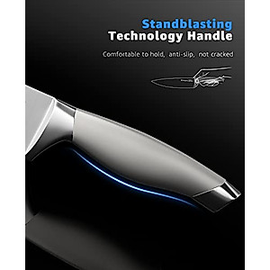 Emojoy Knife Set with Block, 15 Pieces Kitchen Knife Set with Built-in Sharpener, German Stainless Steel Sharp Chef Knife Set with Hollow Handle, Dishwasher Safe and Rust Proof