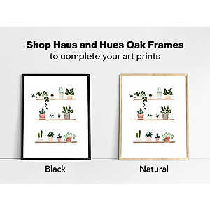 HAUS AND HUES Plant Pictures Wall Art - Succulent Art Wall Decor, Plant Prints Wall Art & Botanical Plant Wall Art Prints, Cactus Poster Botanical Flower pots on Shelves (Unframed, 16x20)