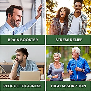 Whole Nature Brain Booster Nootropics - Brain Shield with Ginkgo Biloba, Alpha GPC and Bacopa Monnieri, Vitamin B12, B3 - Support Focus, Memory & Clarity, Energy & Stress Relief. (1)
