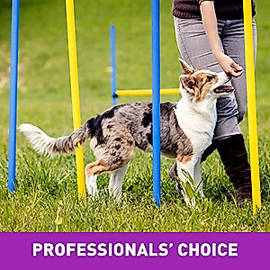 Cloud Star Tricky Trainers Crunchy Dog Training Treats 8 oz Pouch, Chicken Liver Flavor, Low Calorie Behavior Aid with 450 treats