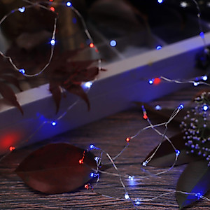 MIYA LIFE Independence String Lights 10FT & 40LEDs & Patriotic Decorations | Battery Powered & Timer Remote (Rice Lights)