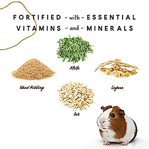 Manna Pro Guinea Pig Feed | with Vitamin C | Complete Feed for Guinea Pigs | No Artificial Colors or Flavors | 5 lb