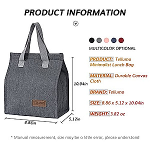 TELLUMO Lunch bag, Insulated Lunch Bag for Women Men Large Lunch Box Container Reusable Leakproof Tote for Office, Work, School, Beach or Travel (Minimalist Grey)