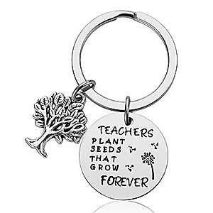iJuqi Teacher Gifts for Women - Teacher Appreciation Gifts for Christmas Birthday, Teachers Plant Seeds That Grow Forever Teacher Keychain